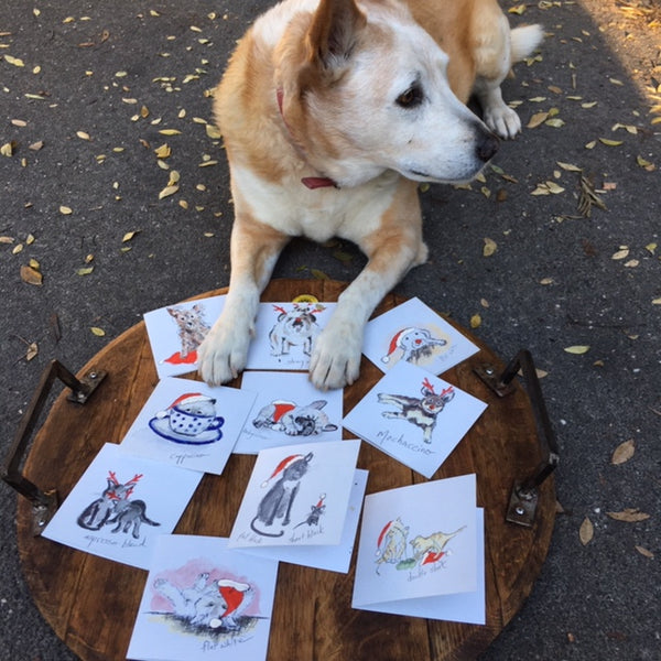 A Card Collection - Crazy Christmas NEW Coffee DOGS AND CATS ...
